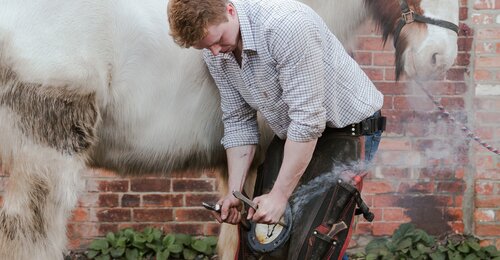 Farriers Bulletin - Issue No 135 - Farriers Registration Council